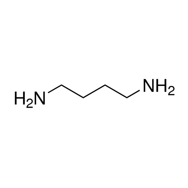 HPLC Methods for analysis of Putrescence - HELIX Chromatography