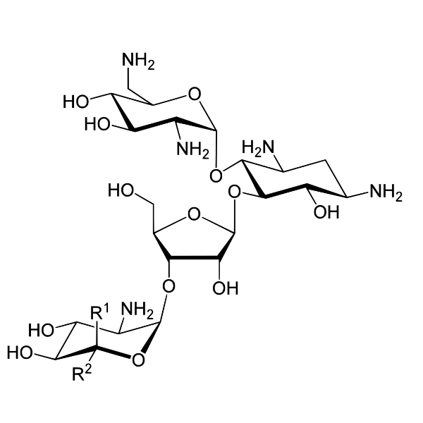 HPLC Methods for analysis of Neomycin - HELIX Chromatography
